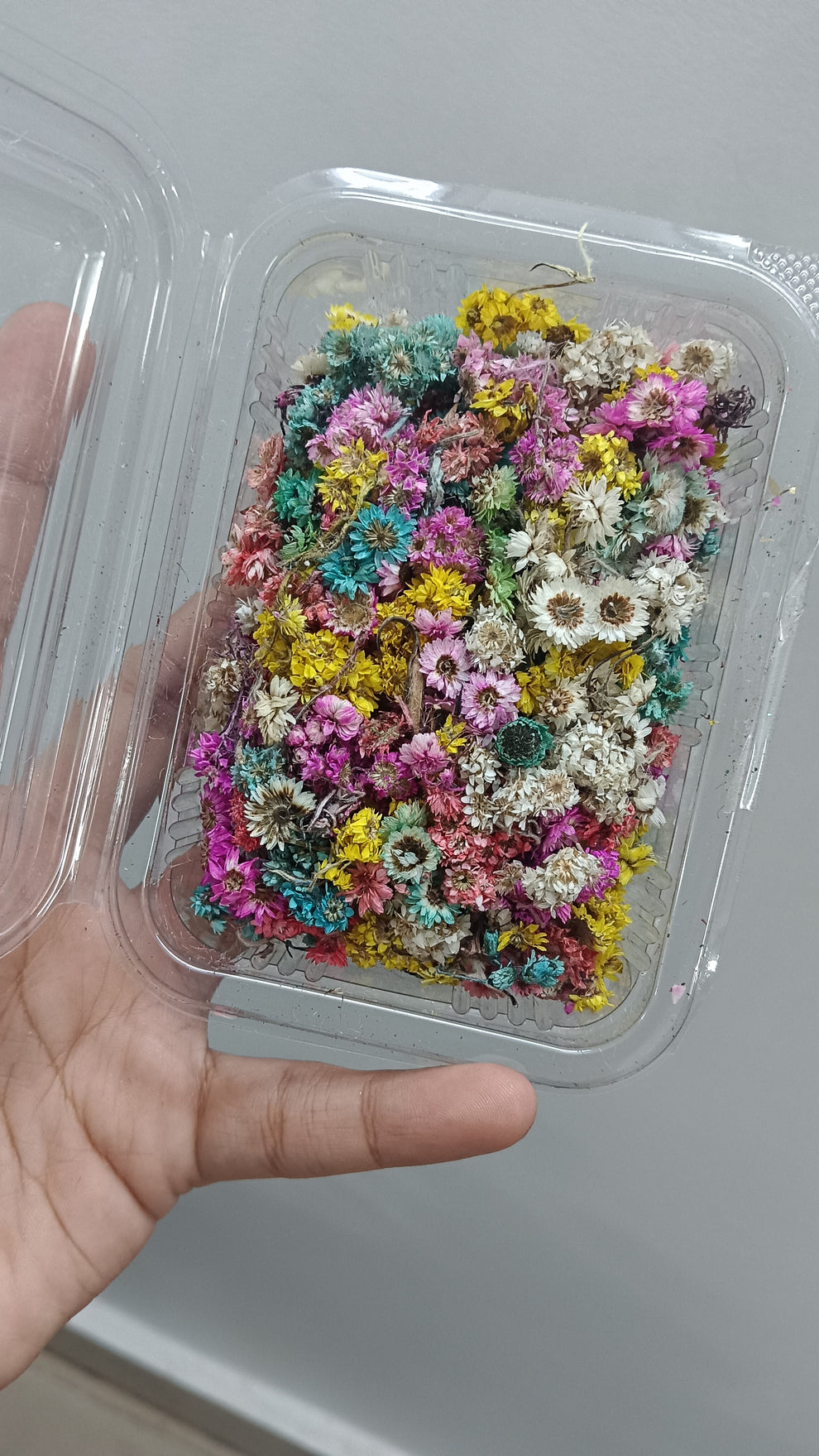 Mountain daisy box – theo_artsoul