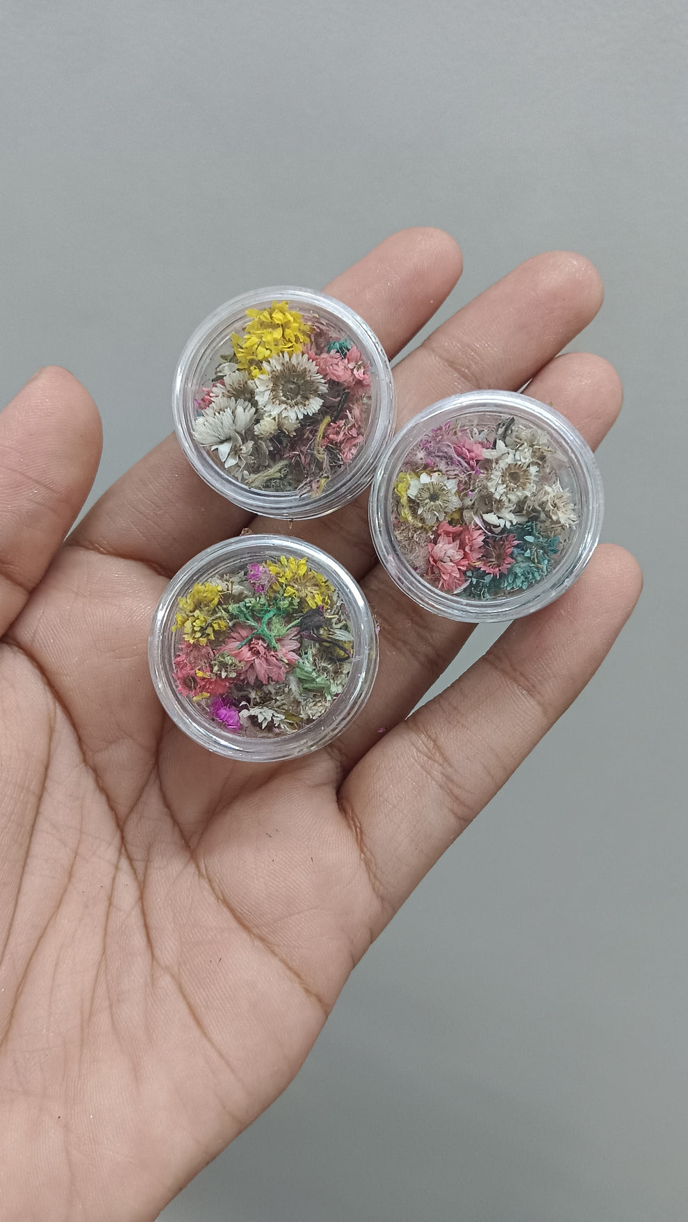 Mountain Daisy tester – theo_artsoul